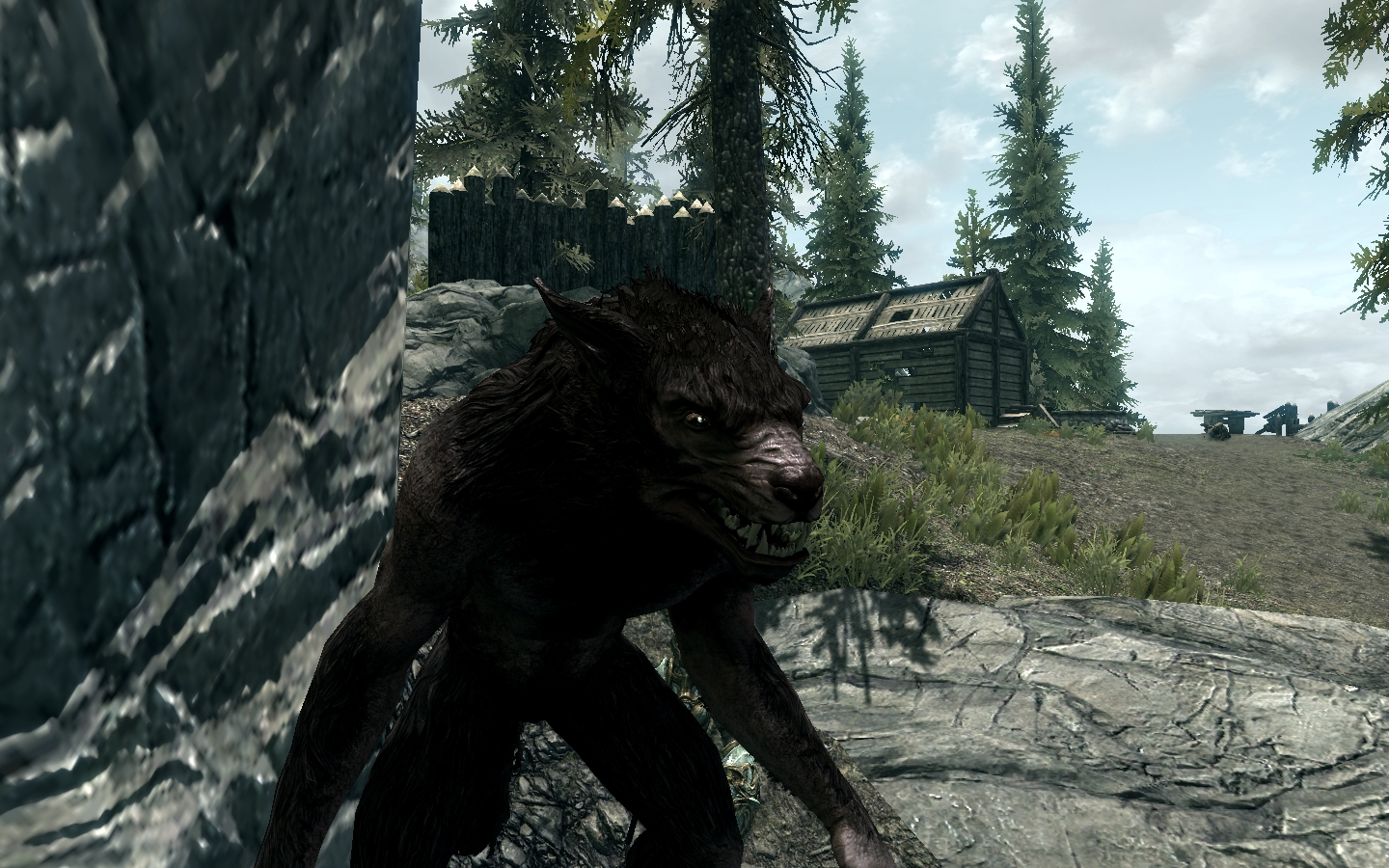 Werewolf Skyrim Wallpaper