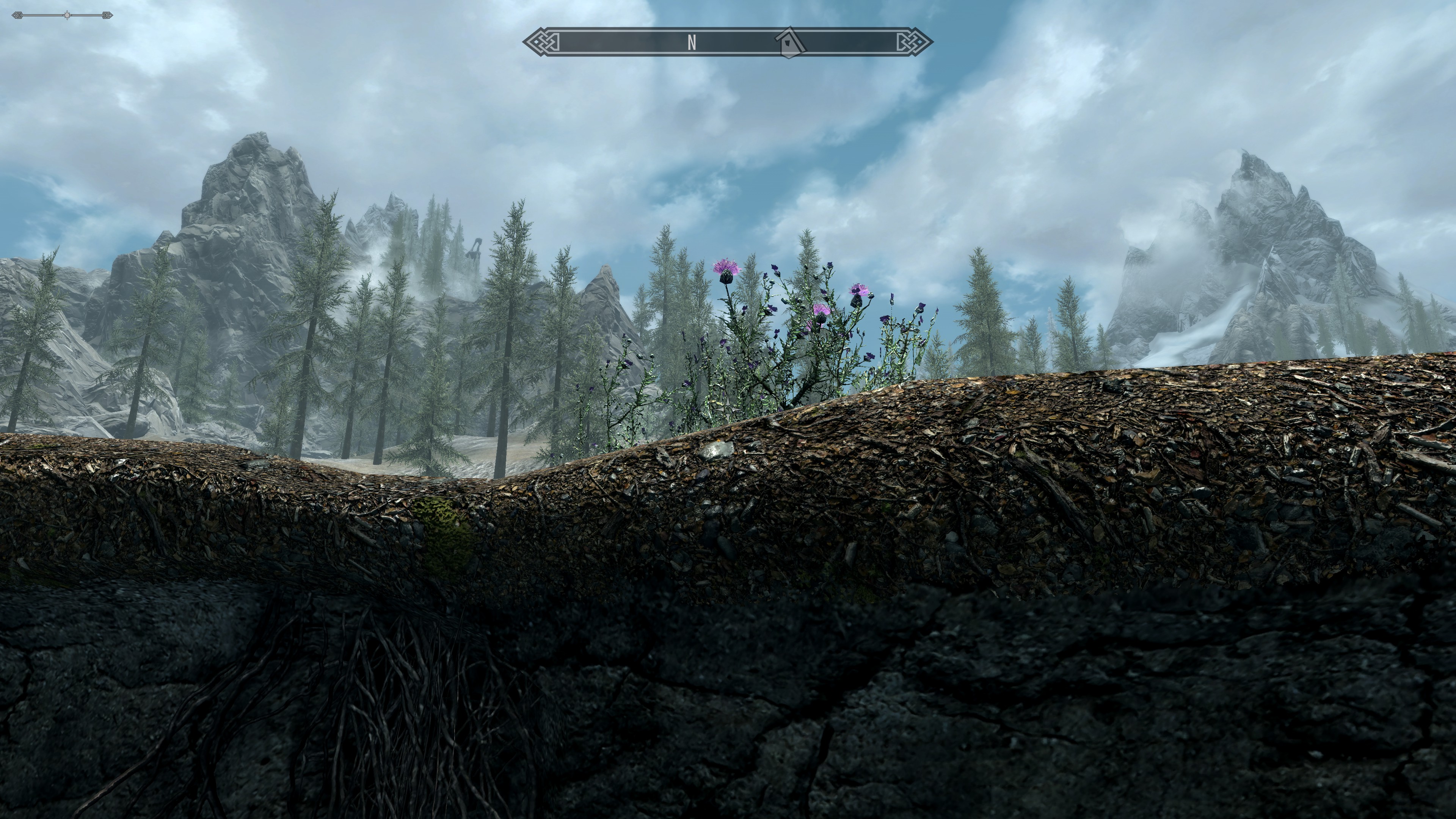 Going through rock - Unofficial Skyrim Special Edition Patch - AFK Mods