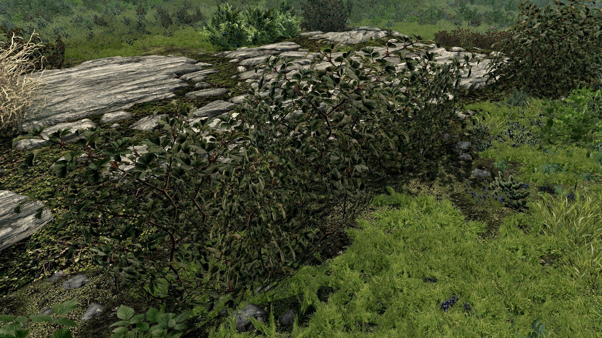 ScreenShot2167 - Scenic - AFK Mods